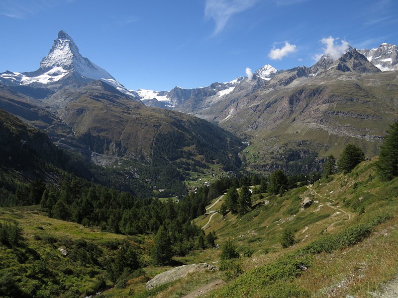 The Alpine Flora of Zermatt, Switzerland
